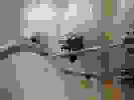 SPEED Bracket-Kieferorthopädie | Dr. Madsen